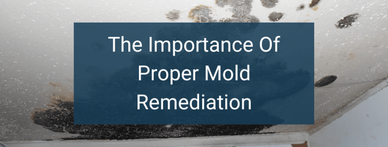 The Importance of Proper Mold Remediation | PROAC Corporation